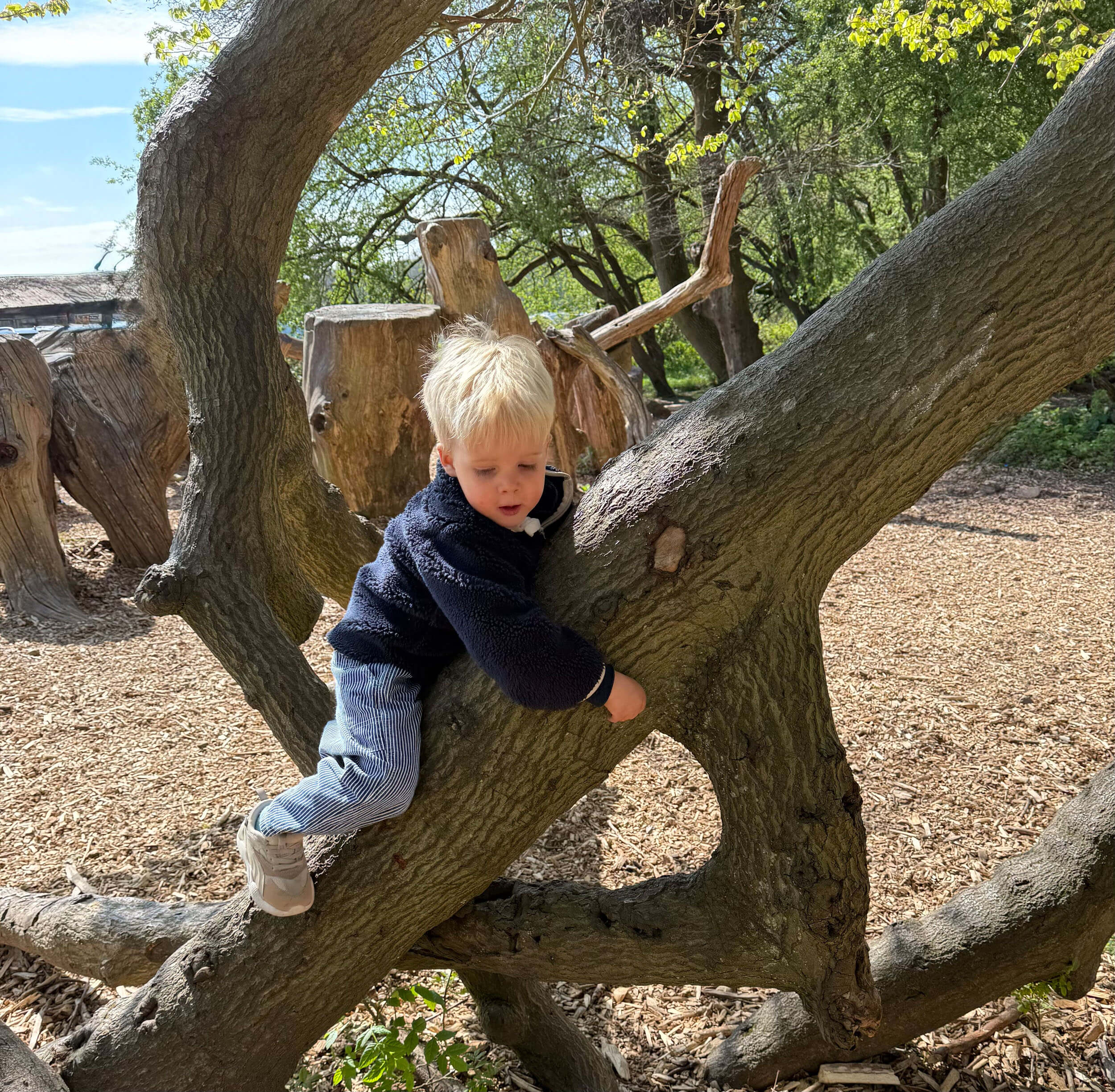 Promoting Bravery in Children: Building Confidence & ResilienceOperated ...